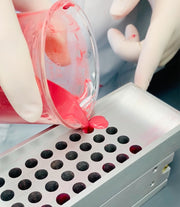 Clean Makeup | MOB Beauty